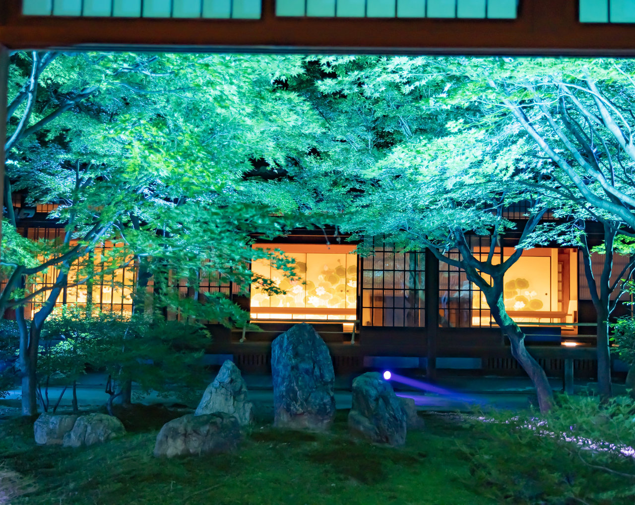 【京都】行列イベント♪ 癒しの夜間拝観 「建仁寺 ZEN NIGHT WALK KYOTO」